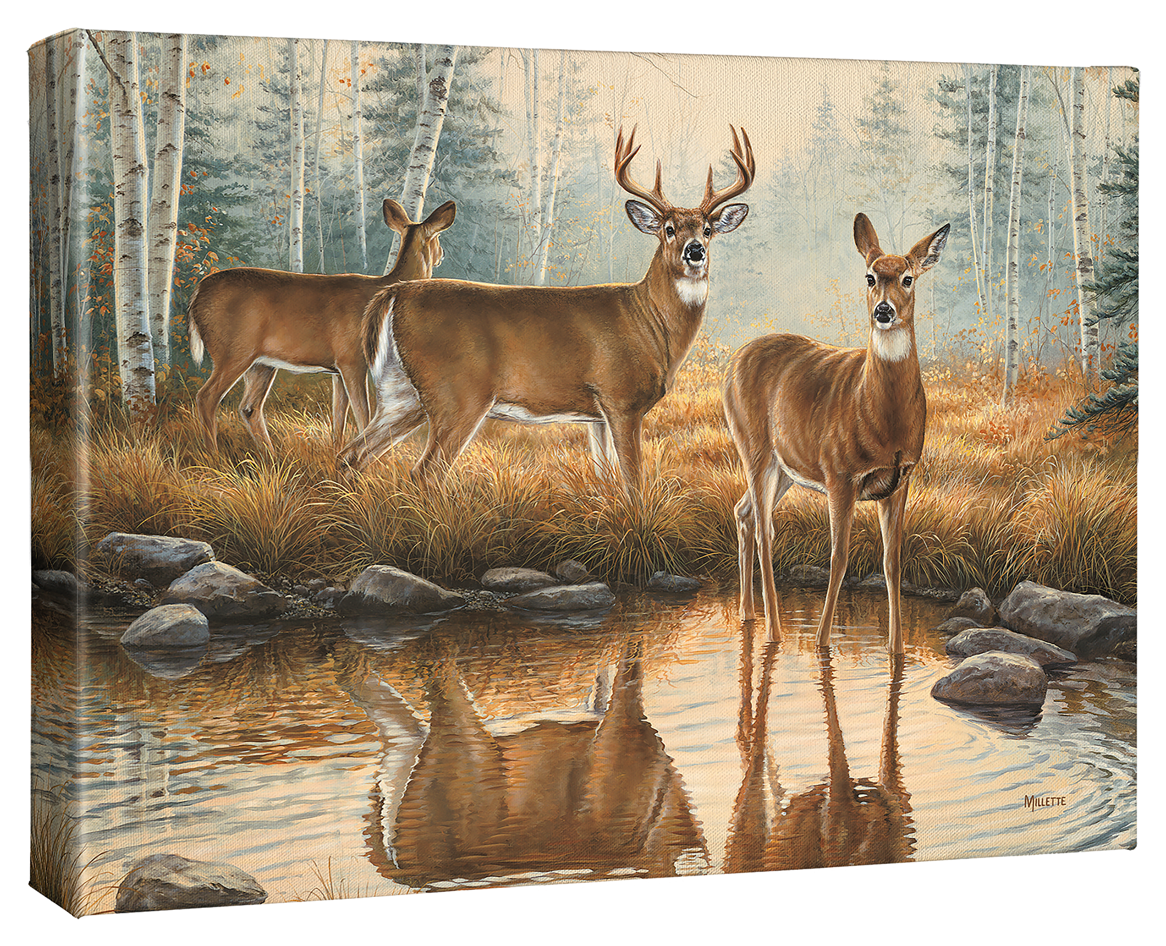 Wild Wings Autumn Reflections Deer Wrapped Canvas Art by Rosemary ...